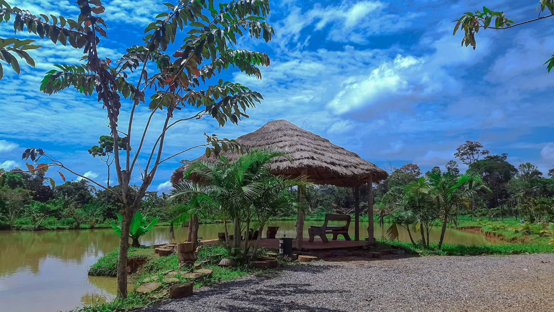 Cameroon Visa for American Citizens - Get Visa on Time with Atlys