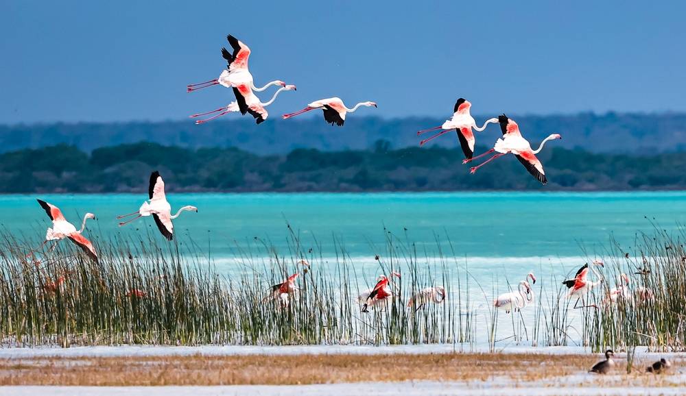 Madagascar Visa for Indian Citizens | Apply Online & Get Your Visa on Time